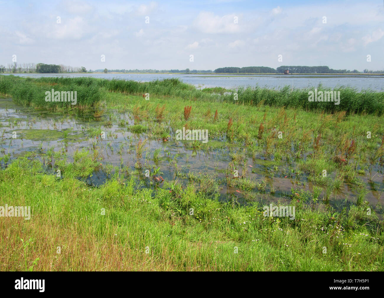 Polder landscapes hi-res stock photography and images - Alamy