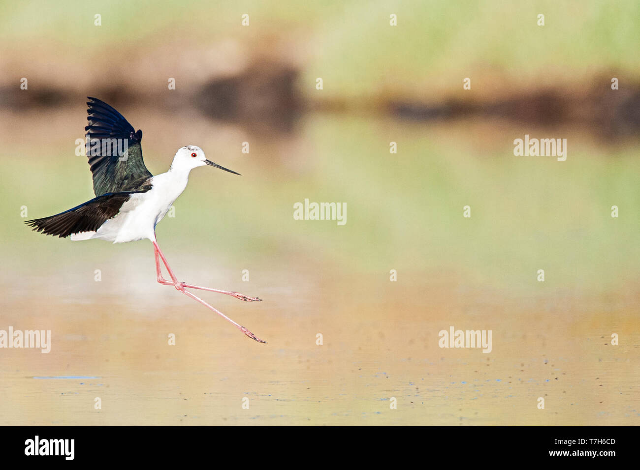 Greek salt pans hi-res stock photography and images - Alamy
