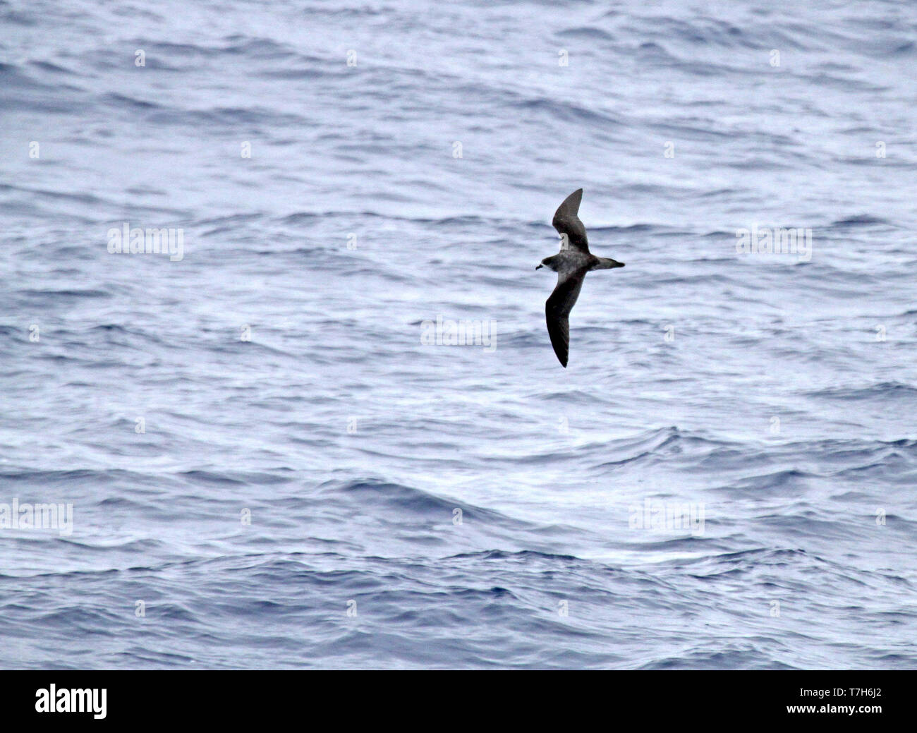 Flying over pacific ocean hi-res stock photography and images - Alamy