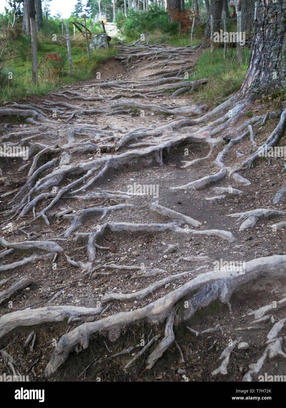 Gr walking route france hi-res stock photography and images - Alamy