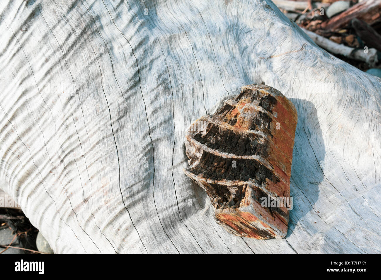 Contrasting timber hi-res stock photography and images - Alamy