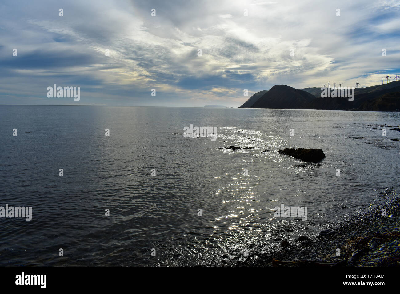 Makara hi-res stock photography and images - Alamy