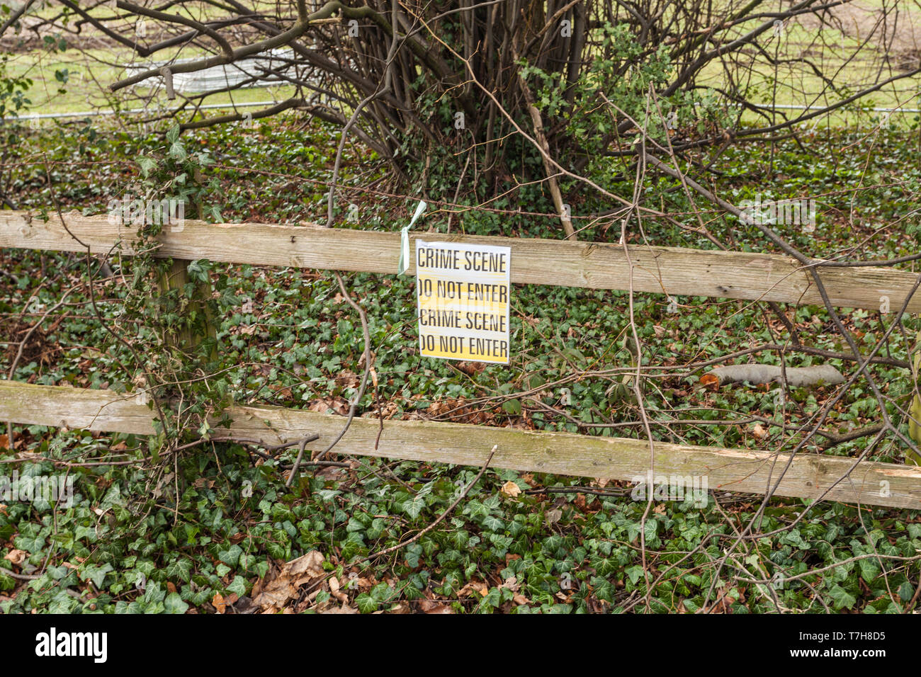 Notice of tree felling hi-res stock photography and images - Alamy