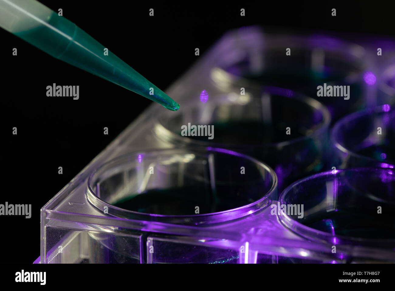 Petri dish and pipette Stock Photo - Alamy