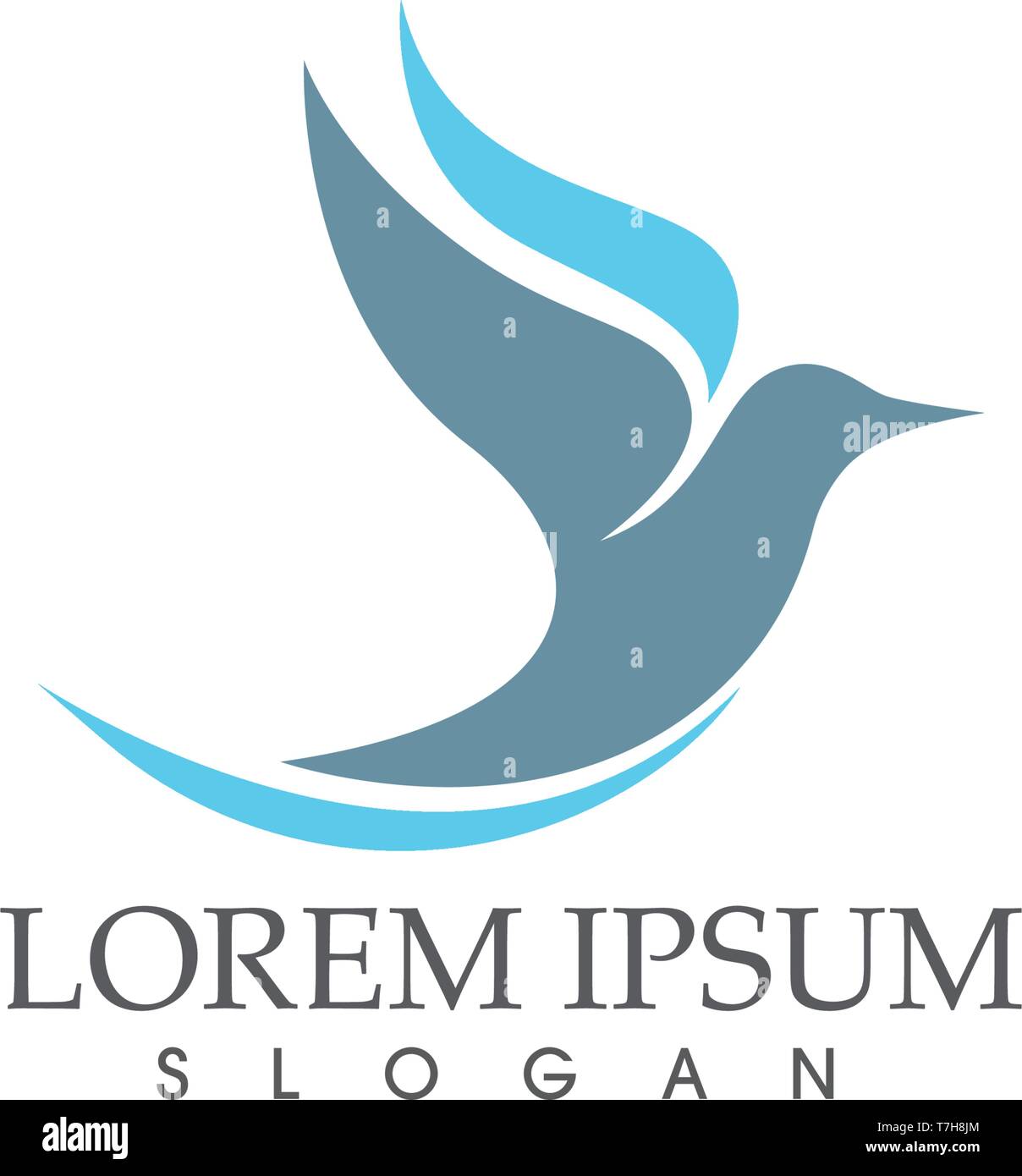 bird sign abstract template icons app Stock Vector Image & Art - Alamy