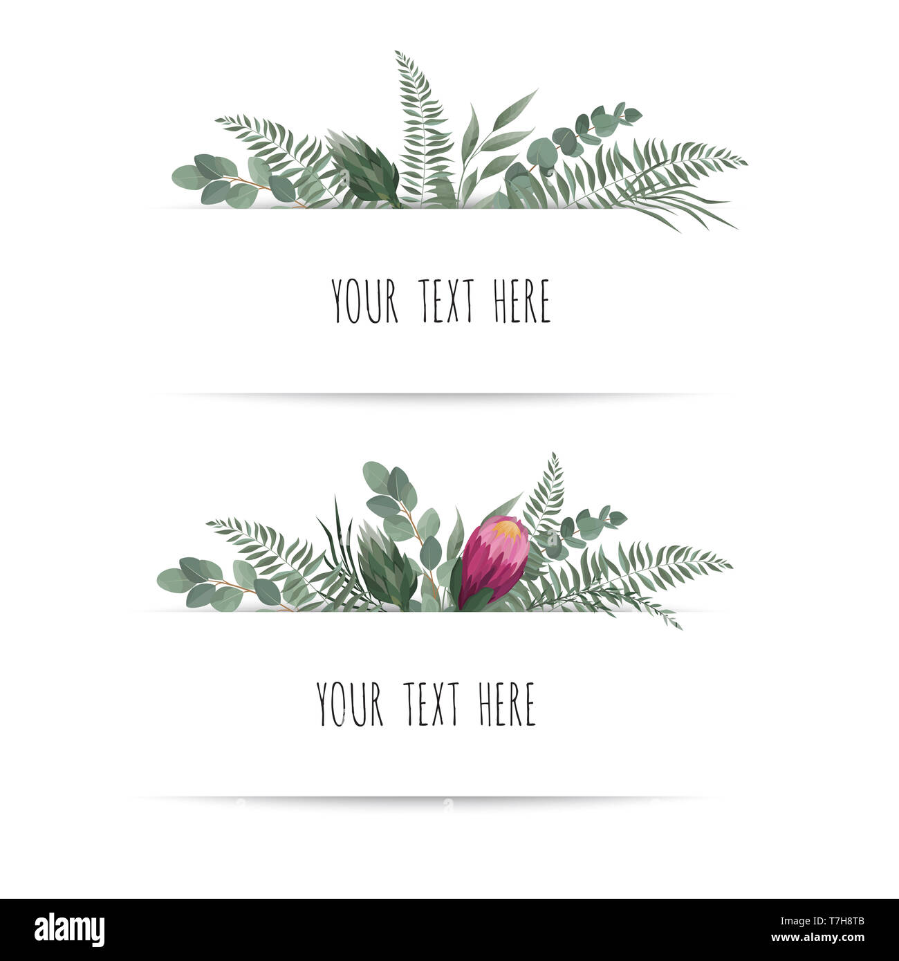 Botanical header Cut Out Stock Images & Pictures - Alamy