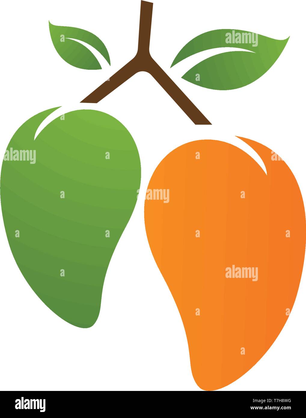 Mango vector logo Mango icon vector template Stock Vector Image & Art ...