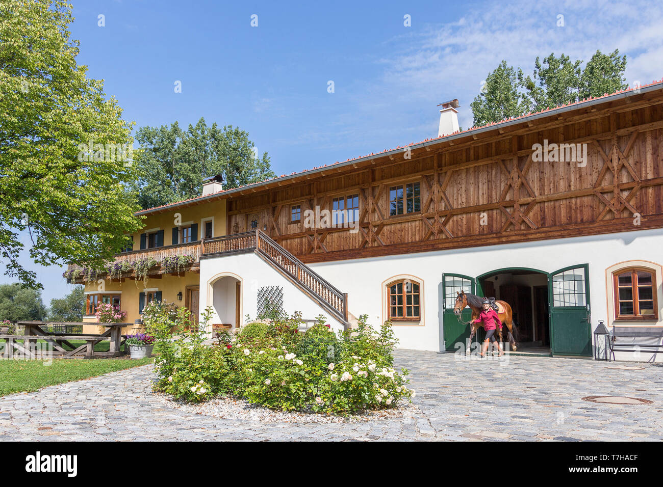 Stud hi-res stock photography and images - Alamy