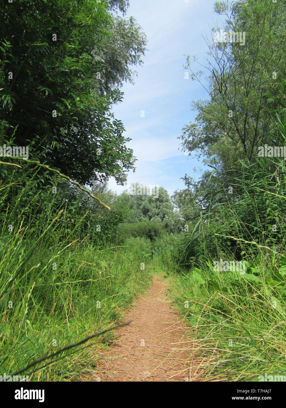 Straight footpath hi-res stock photography and images - Alamy