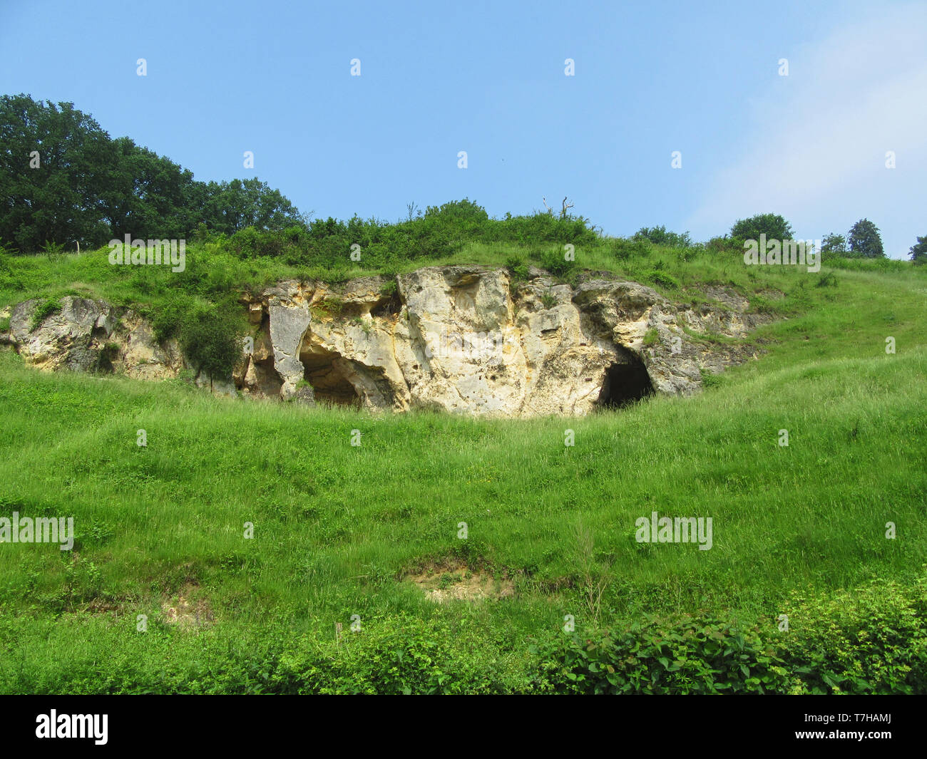 Nature reserve Bemelerberg in Limburg, Netherlands. Merl cave in green ...