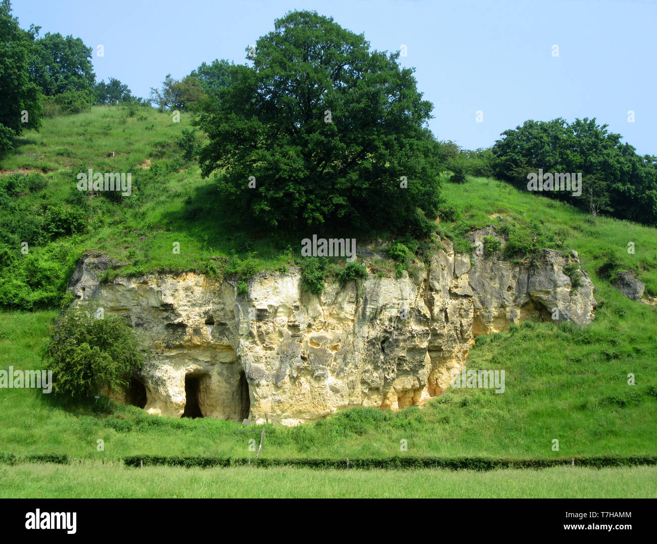 Nature reserve Bemelerberg in Limburg, Netherlands. Merl cave in green ...