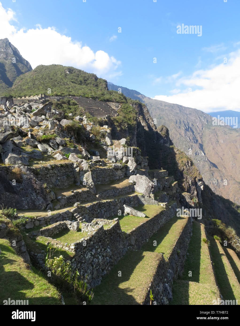 Terraced farmland at Machu Picchu in the Cusco Region, Urubamba ...
