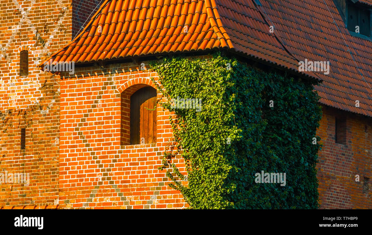 Roof of an old house 2019 Stock Photo - Alamy