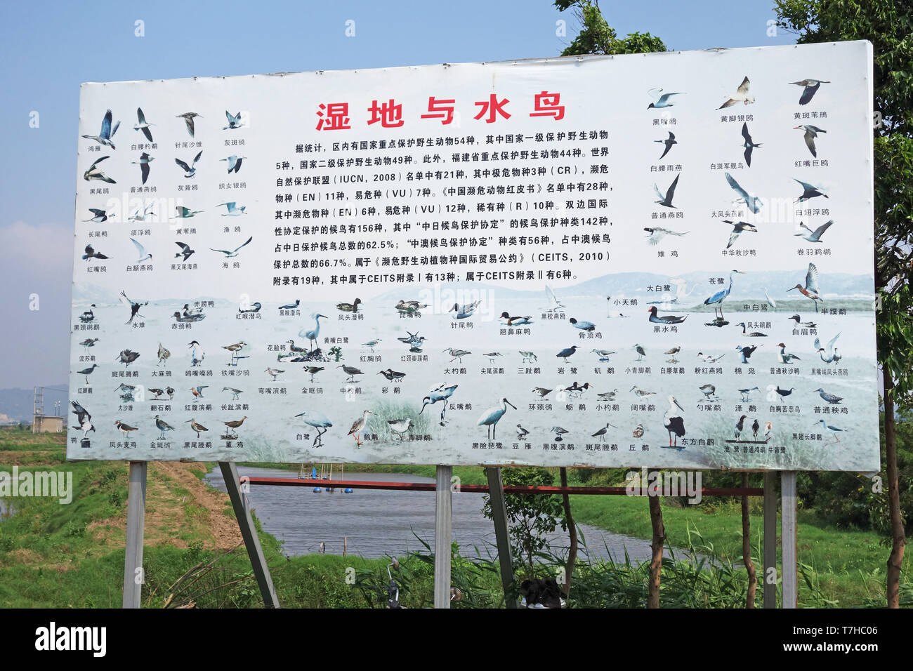 Minjiang hi-res stock photography and images - Alamy