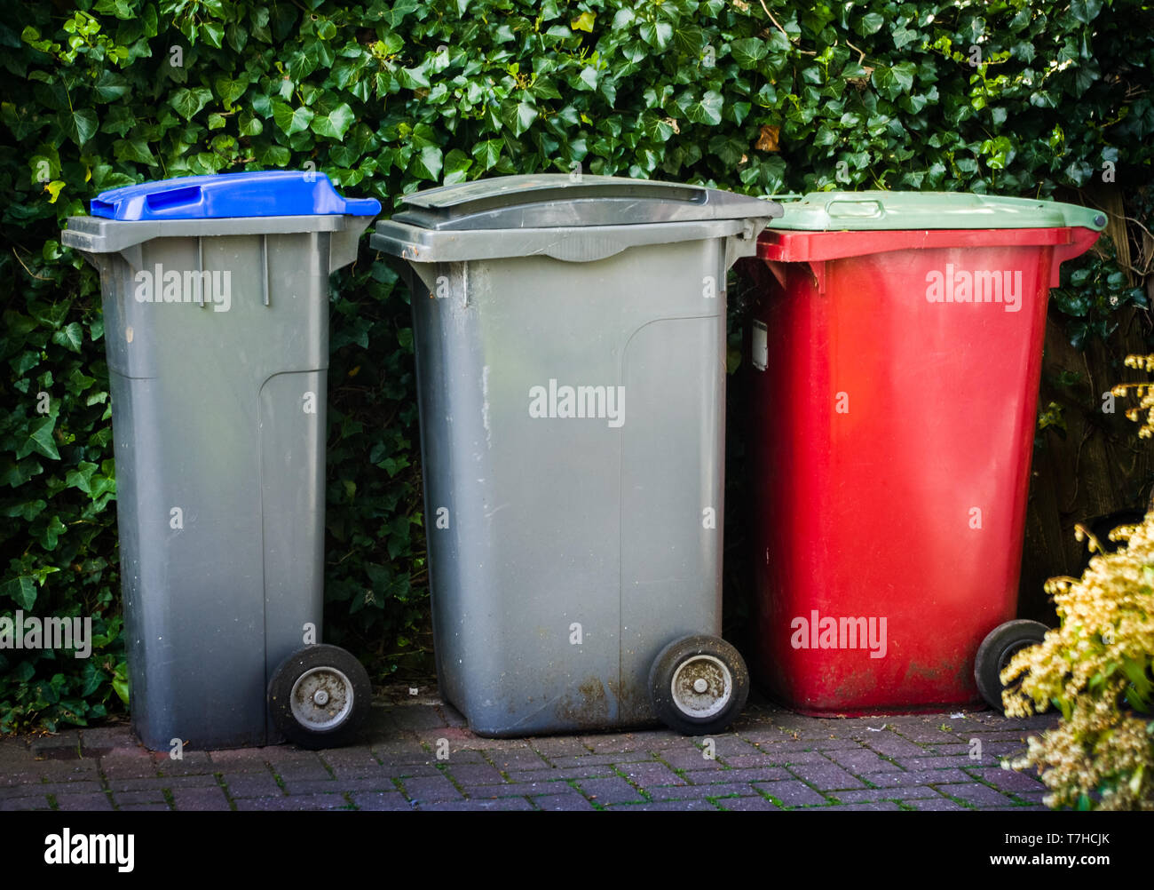 Domestic waste recycling bins Stock Photo - Alamy