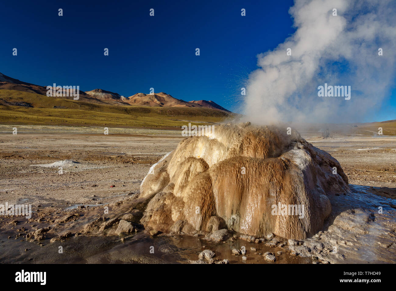 Active geyser hi-res stock photography and images - Alamy
