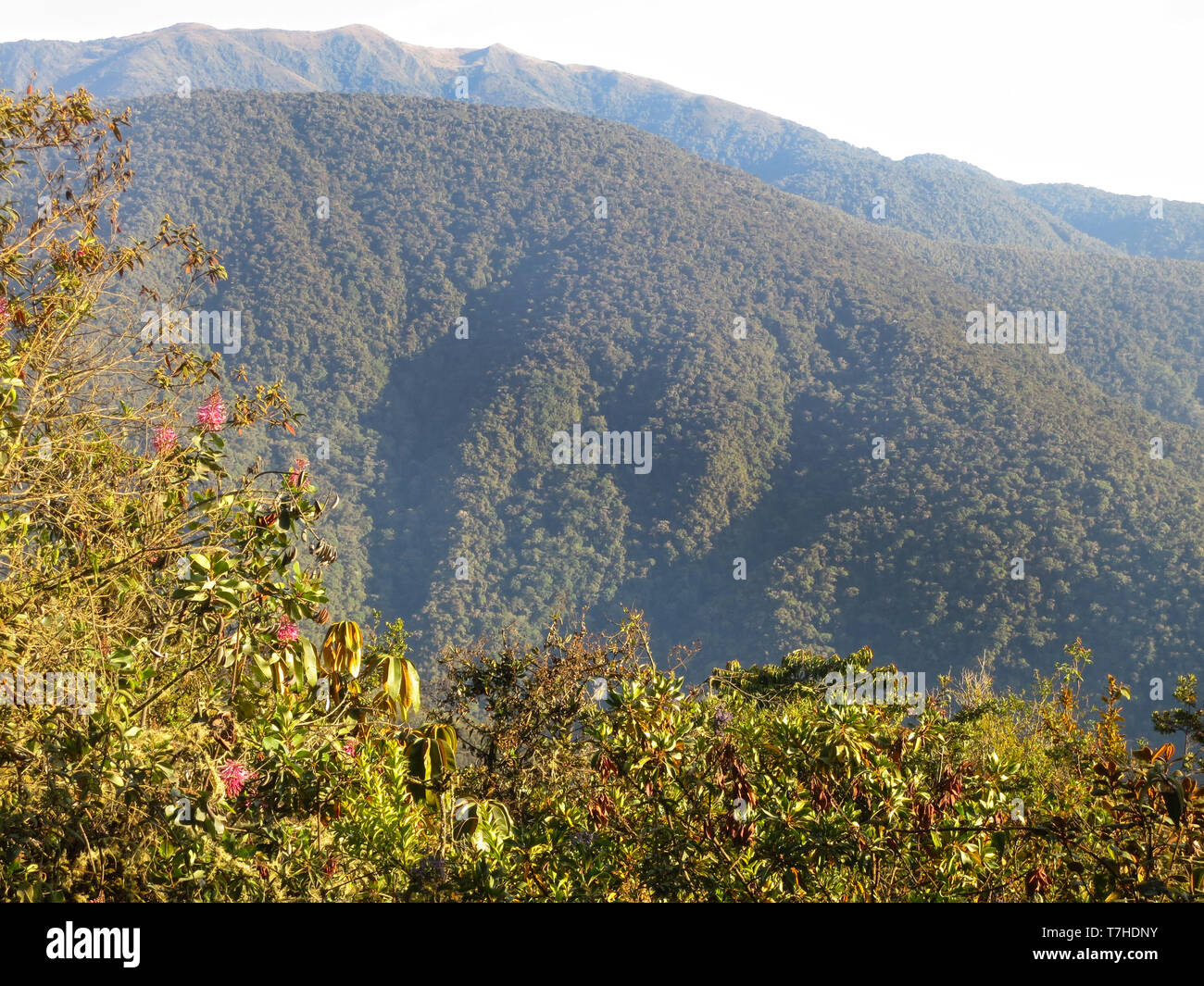 Upper slope hi-res stock photography and images - Alamy