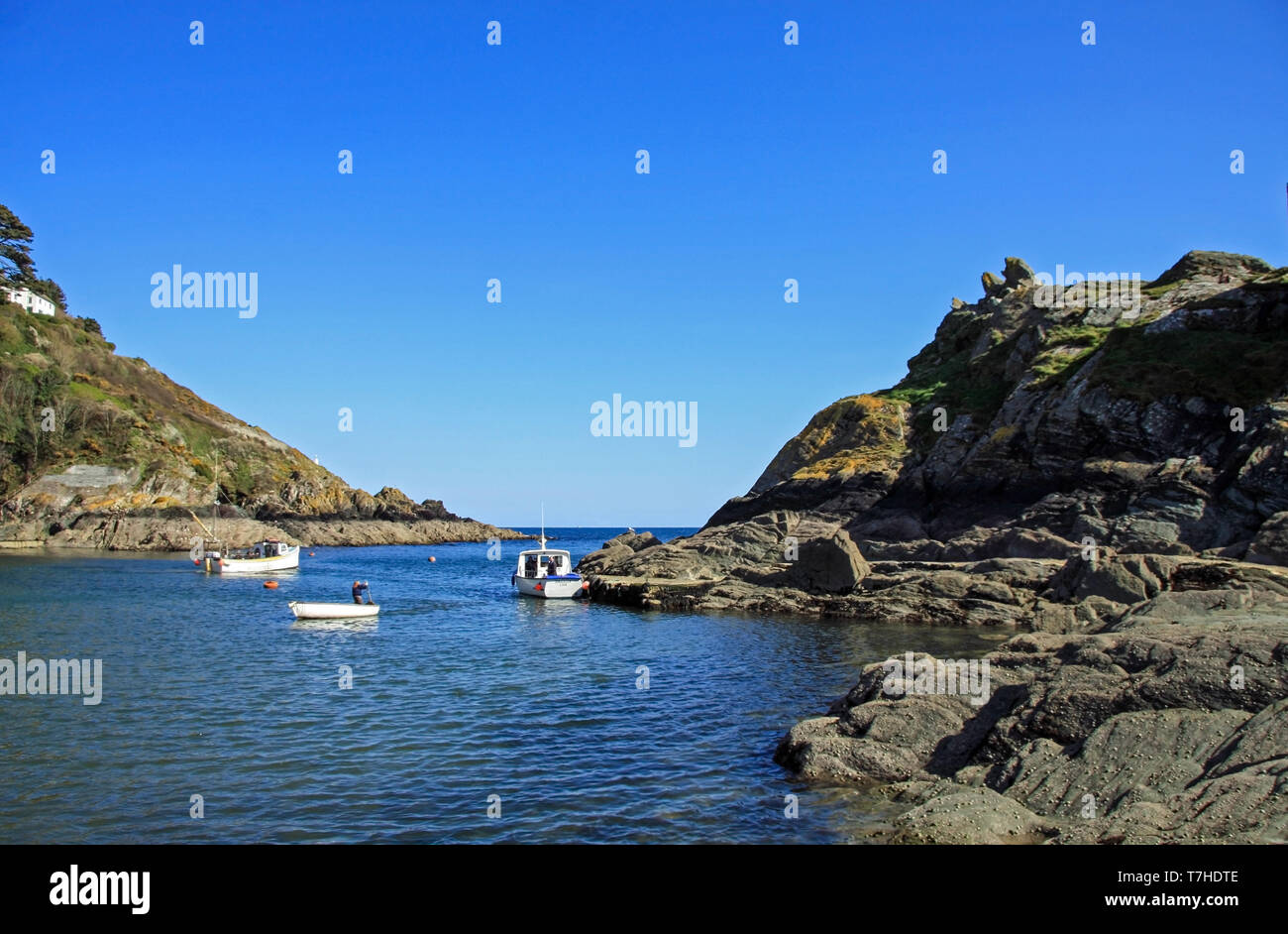 Foot ferry service to Looe from Polperro Cornwall Stock Photo - Alamy
