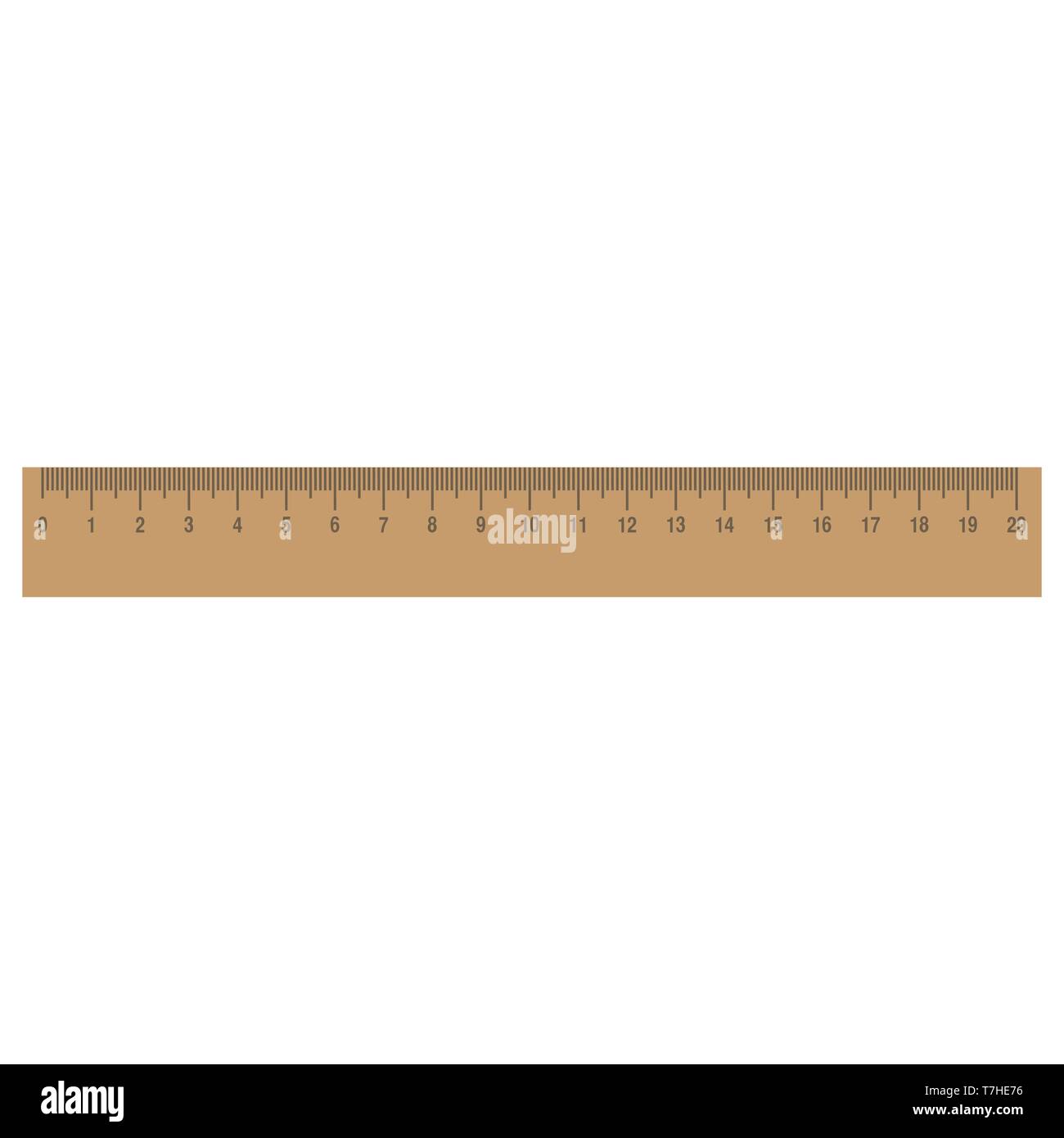 Ruler vector icon isolated measure illustration scale. School tool inch ...