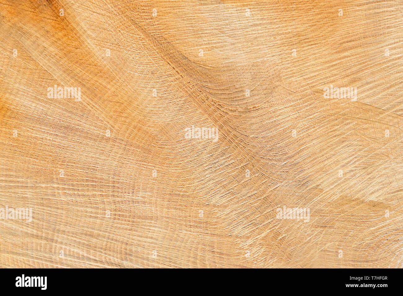 Natural light wooden texture. Wood texture with natural pattern Stock ...
