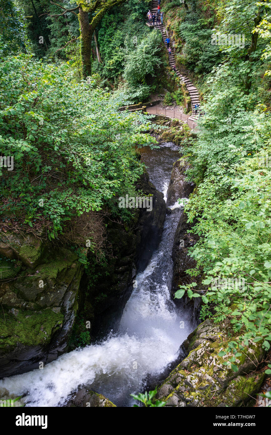 Force beck hi-res stock photography and images - Alamy