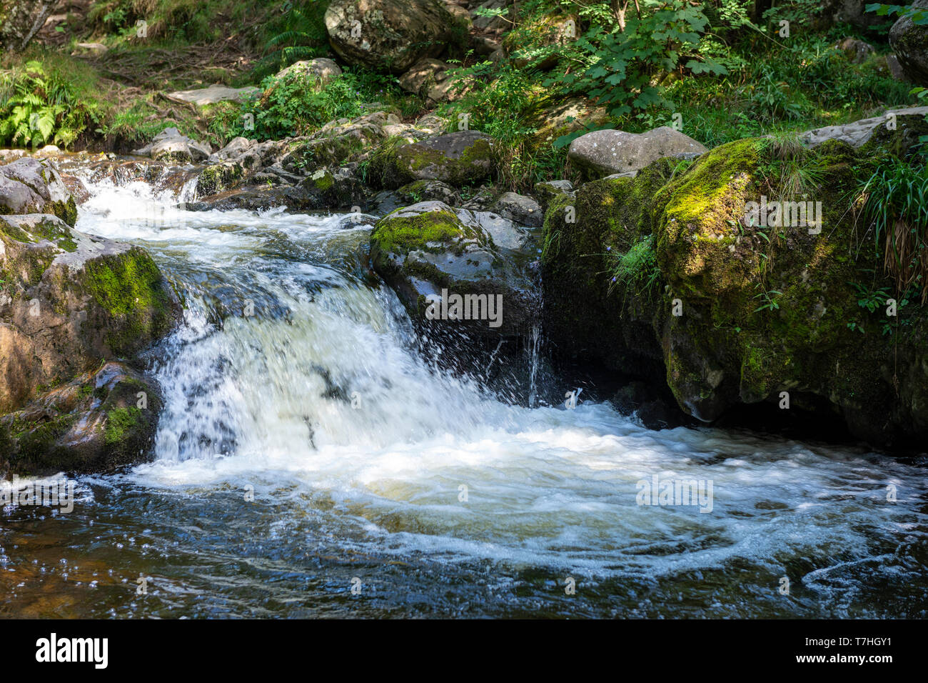 Aira Force Waterfall on the Aira Beck river in the Lake District ...