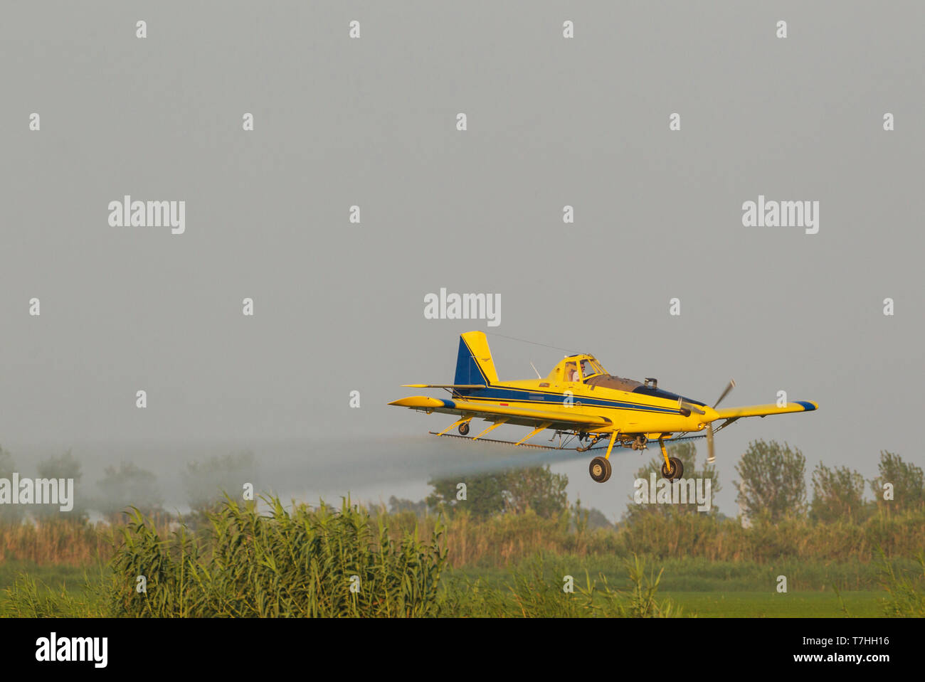 Mosquito plane hi-res stock photography and images - Alamy