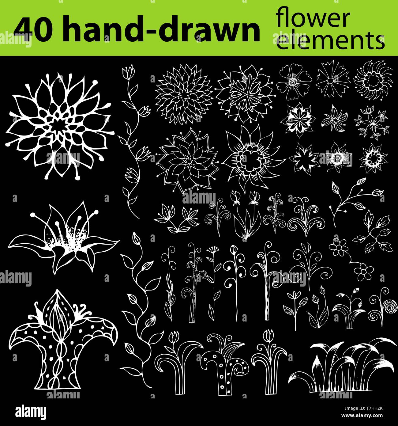 Set of doodle hand-drawn flower elements. Vector Eps8 Stock Vector ...