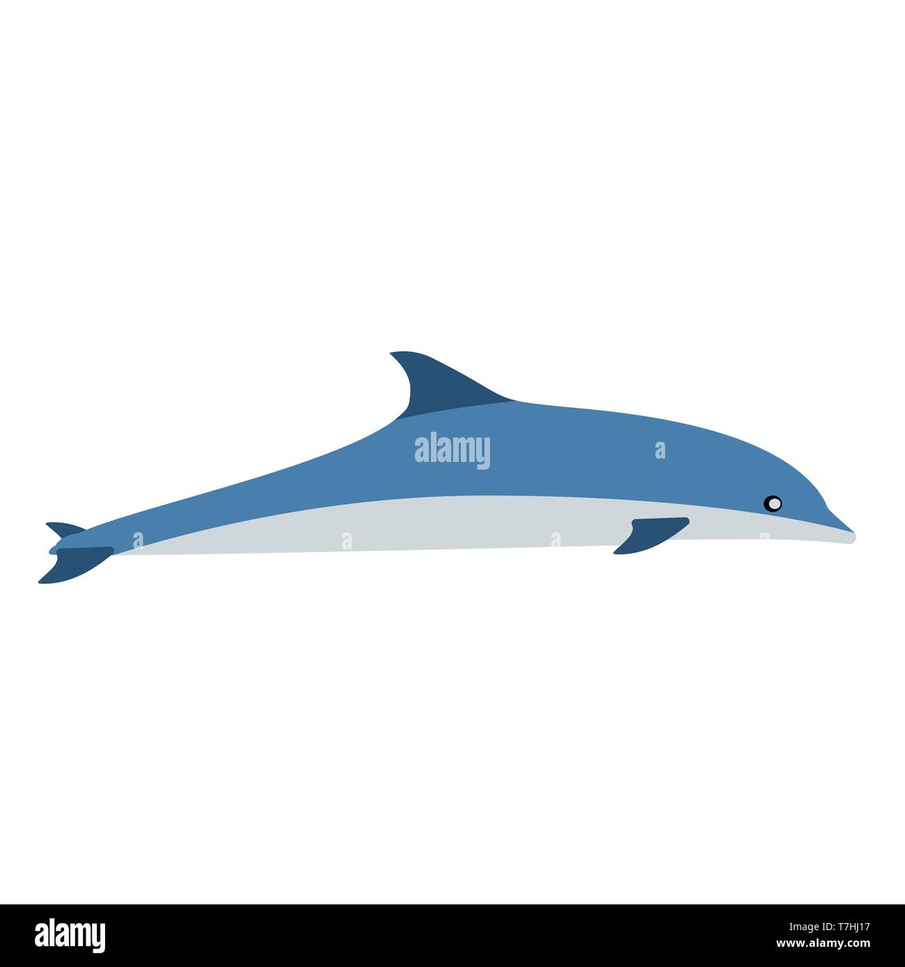 Shark top view Stock Vector Images - Alamy