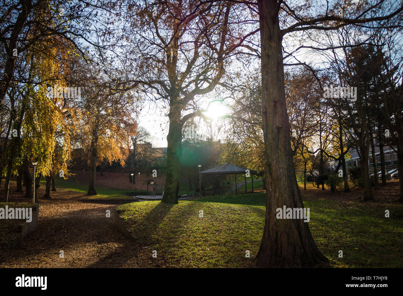 Little park with few trees Stock Photo - Alamy
