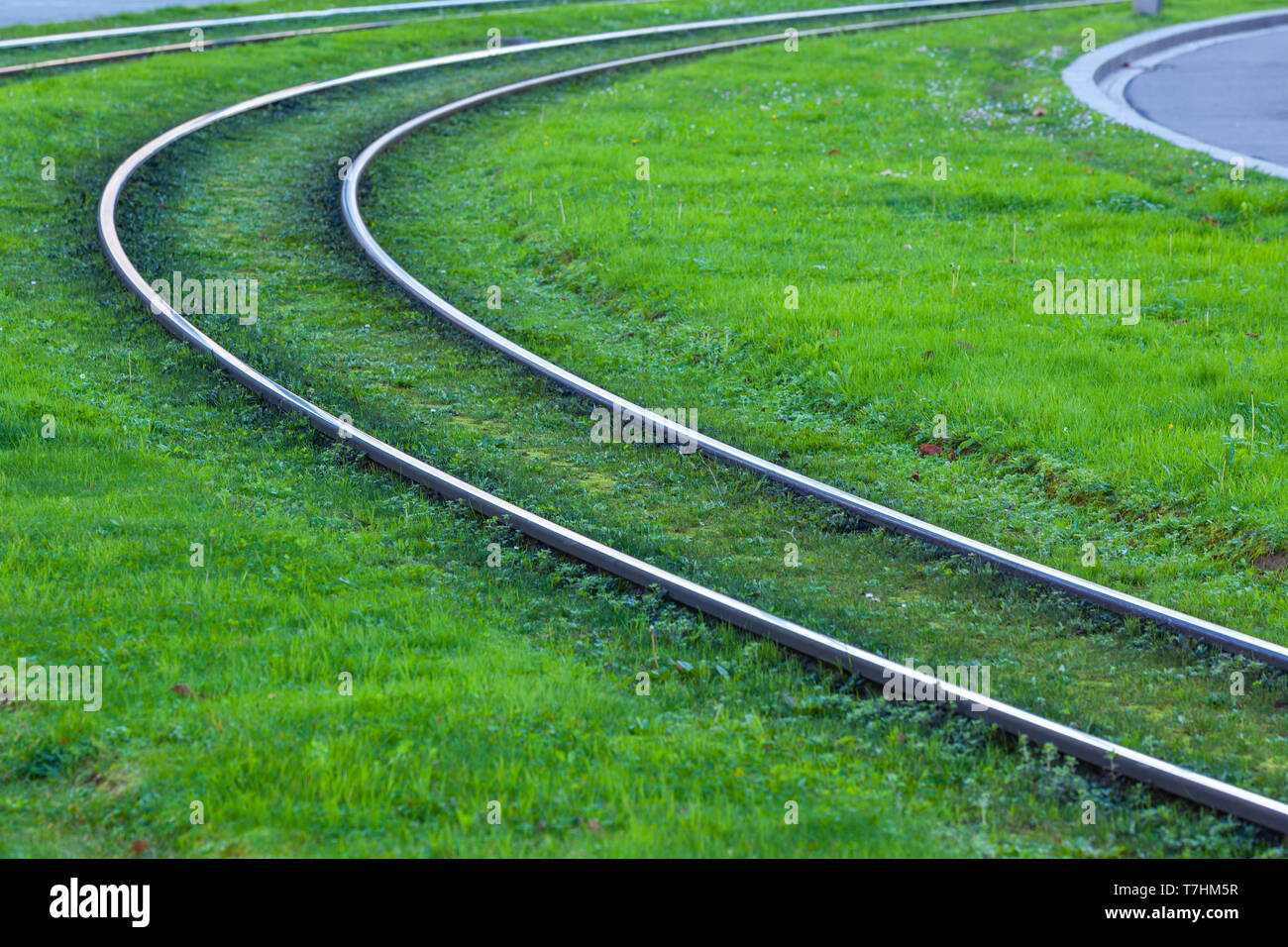 Tram rails covered with green grass lawn in Bilbao, Spain Stock Photo ...