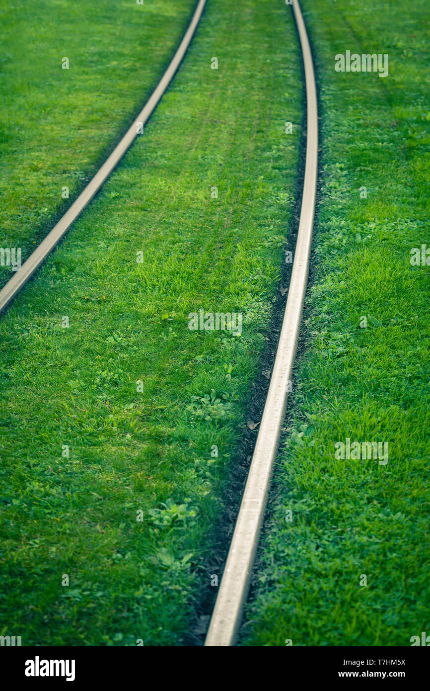 Tram rails covered with green grass lawn in Bilbao, Spain Stock Photo ...