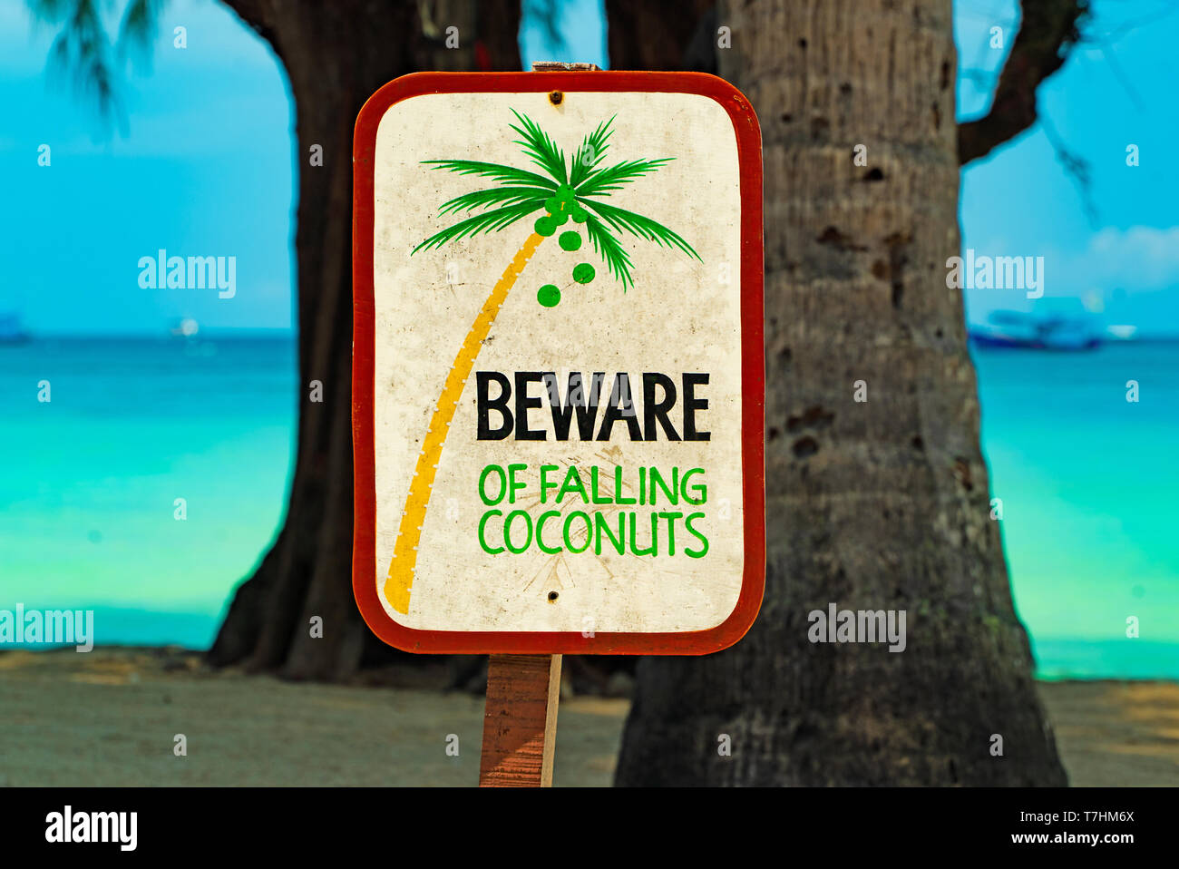 Sign "Beware of falling coconuts" on Koh Tao in Thailand, Asia Stock ...