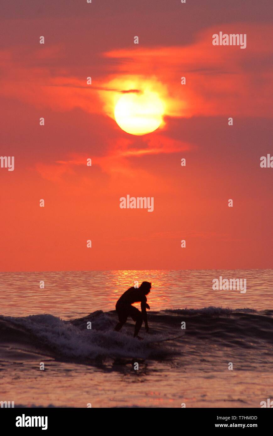 enjoying summer holiday at the beach Stock Photo - Alamy