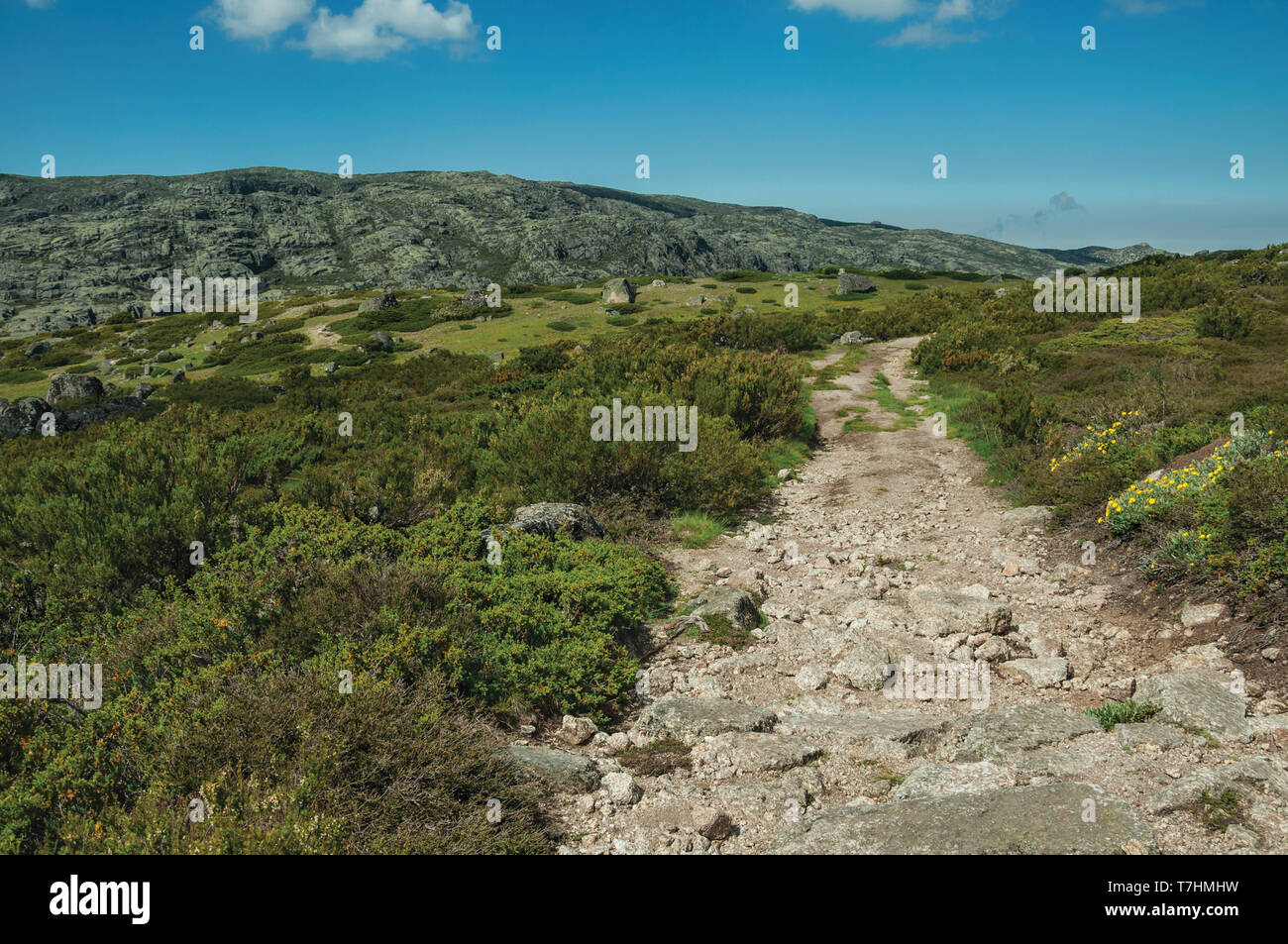 Trek hike rustic path pathway hi-res stock photography and images - Alamy