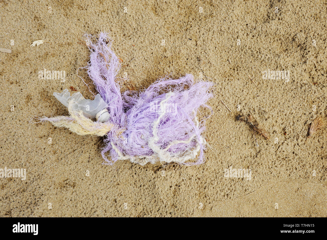 Fishing nylon net on the sand. Garbage on the beach. Dirty sea shore ...