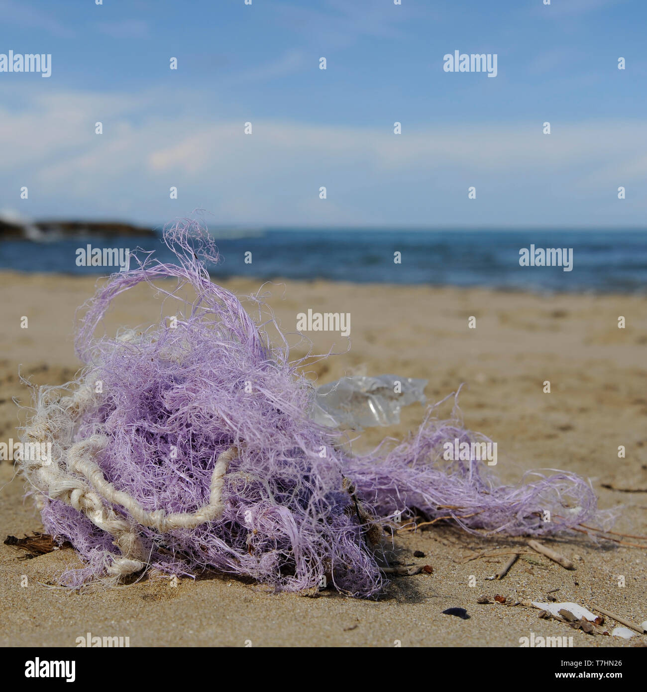 Fishing nylon net on the sand. Garbage on the beach. Dirty sea shore ...