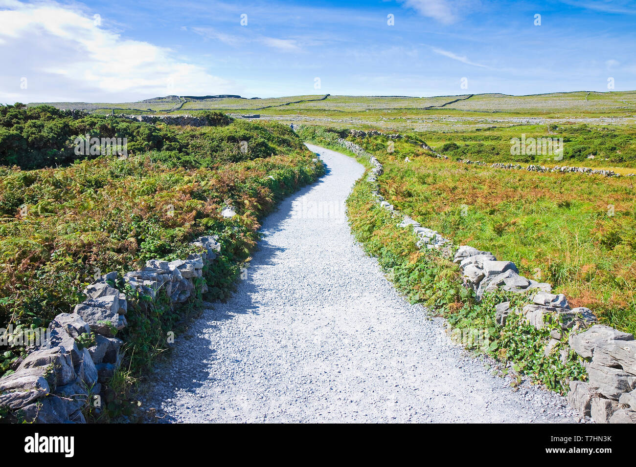 Typical Irish flat landscape in Aran Island with country road, stone ...