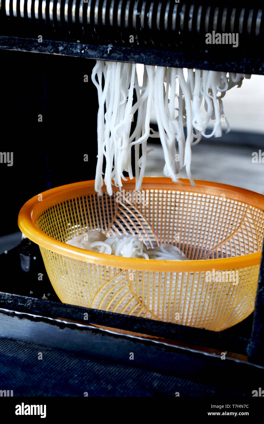 Traditionally made vietnamese rice noodles made during a cooking class ...