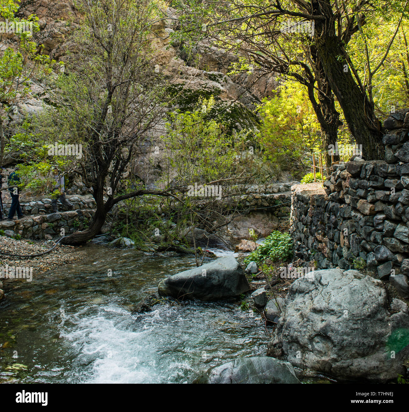 The beautiful path to the mountains in darakeh Stock Photo - Alamy