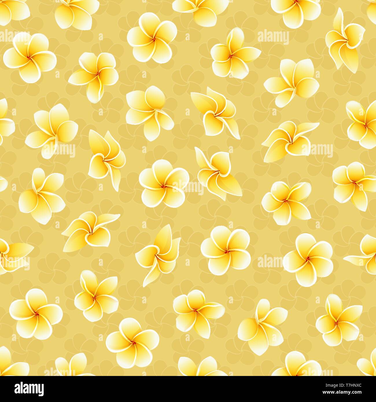 Seamless summer pattern frangipani plumeria tropical flowers vector ...