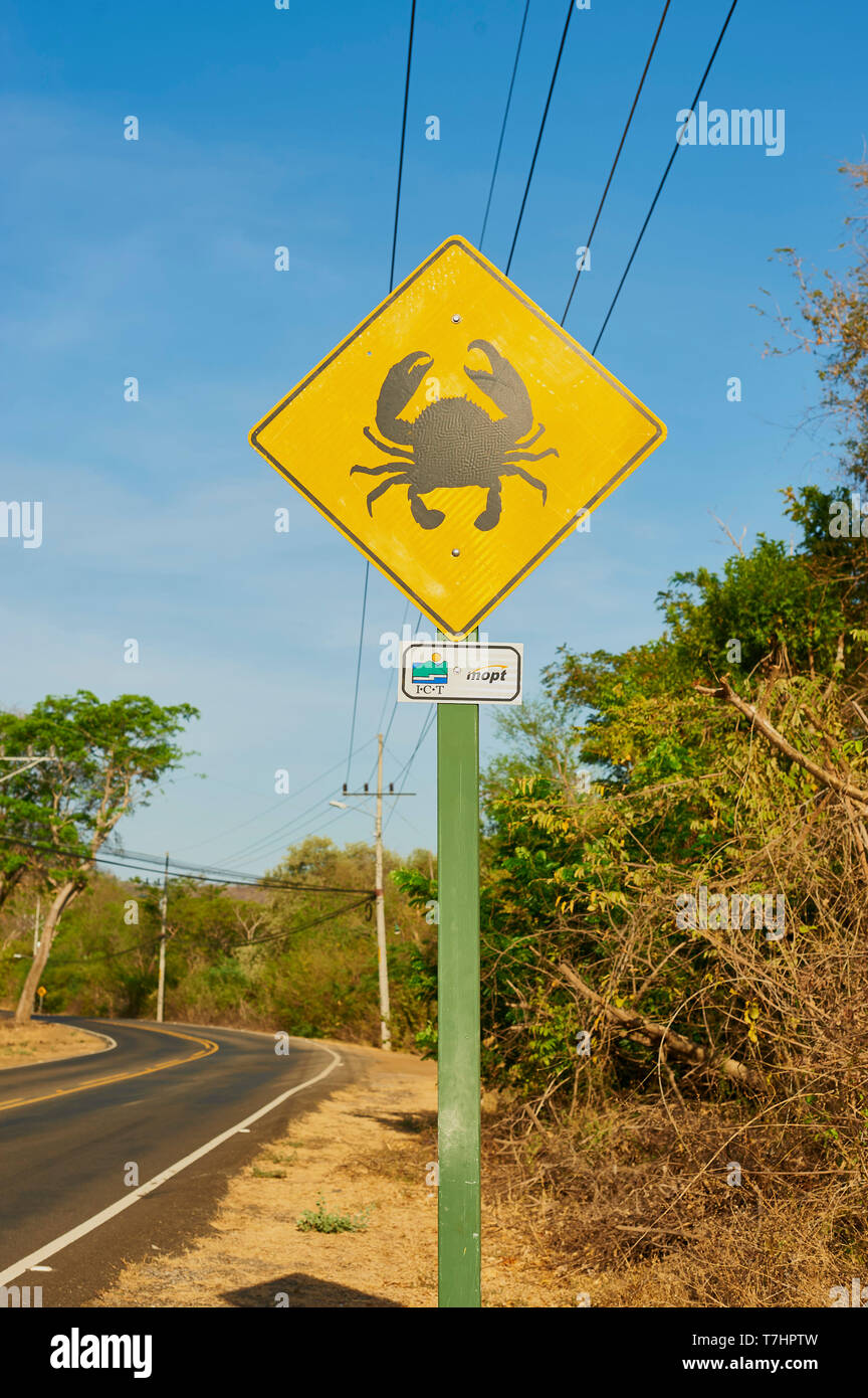 Beware of crabs on road! Stock Photo - Alamy