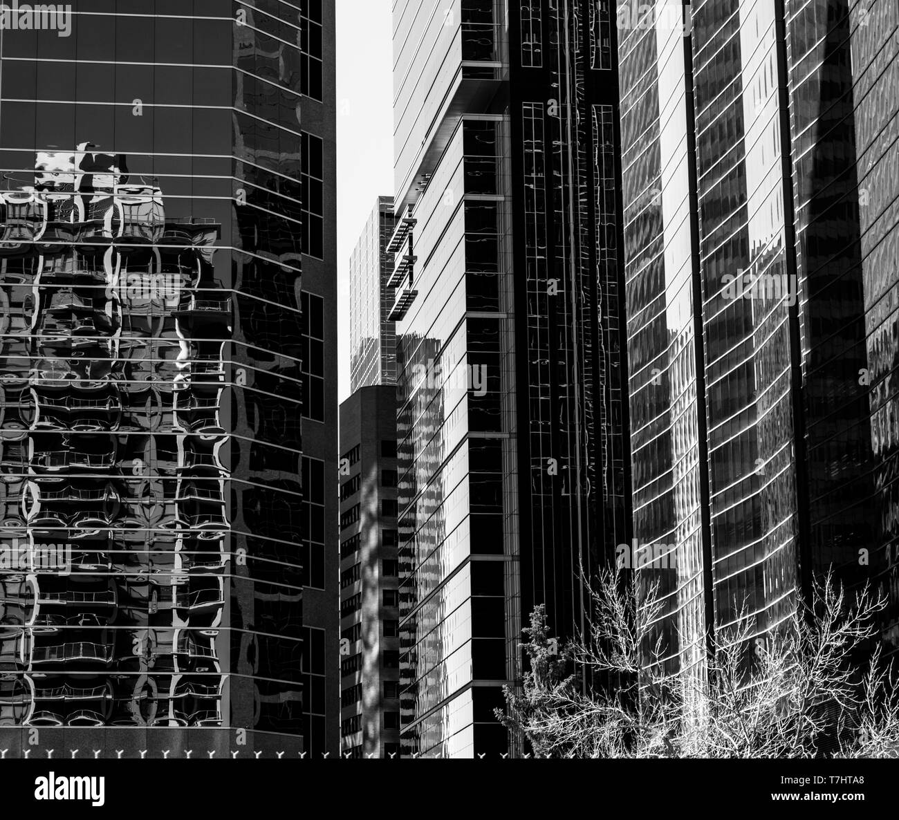Calgary spring hi-res stock photography and images - Alamy