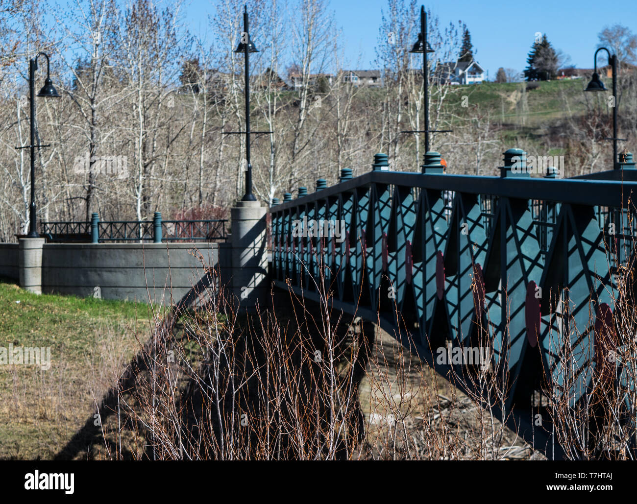 Downtown Calgary in spring Stock Photo - Alamy