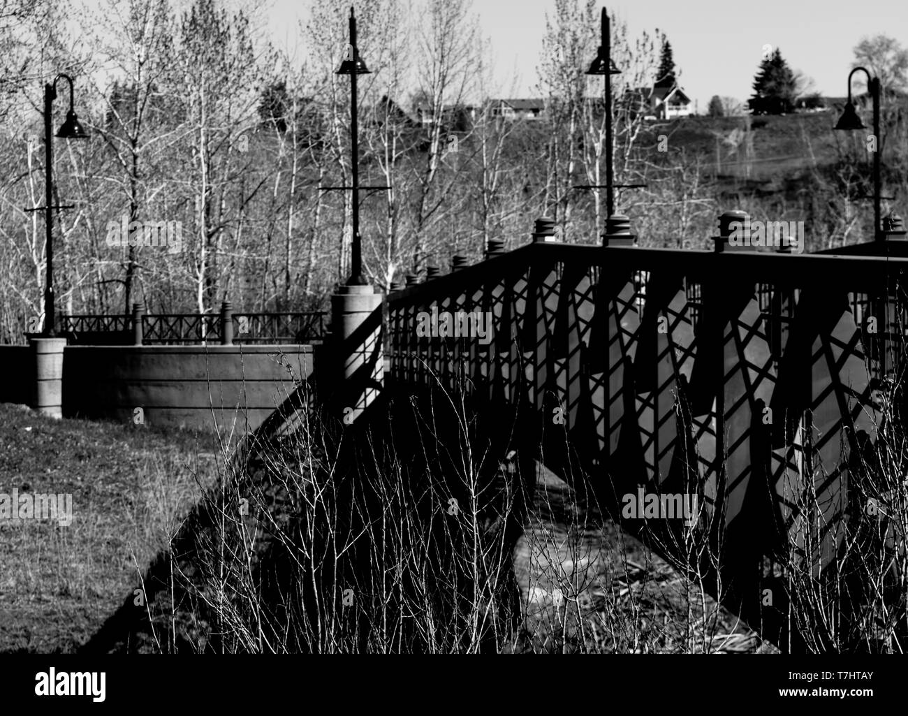 Spring colored Black and White Stock Photos & Images - Alamy