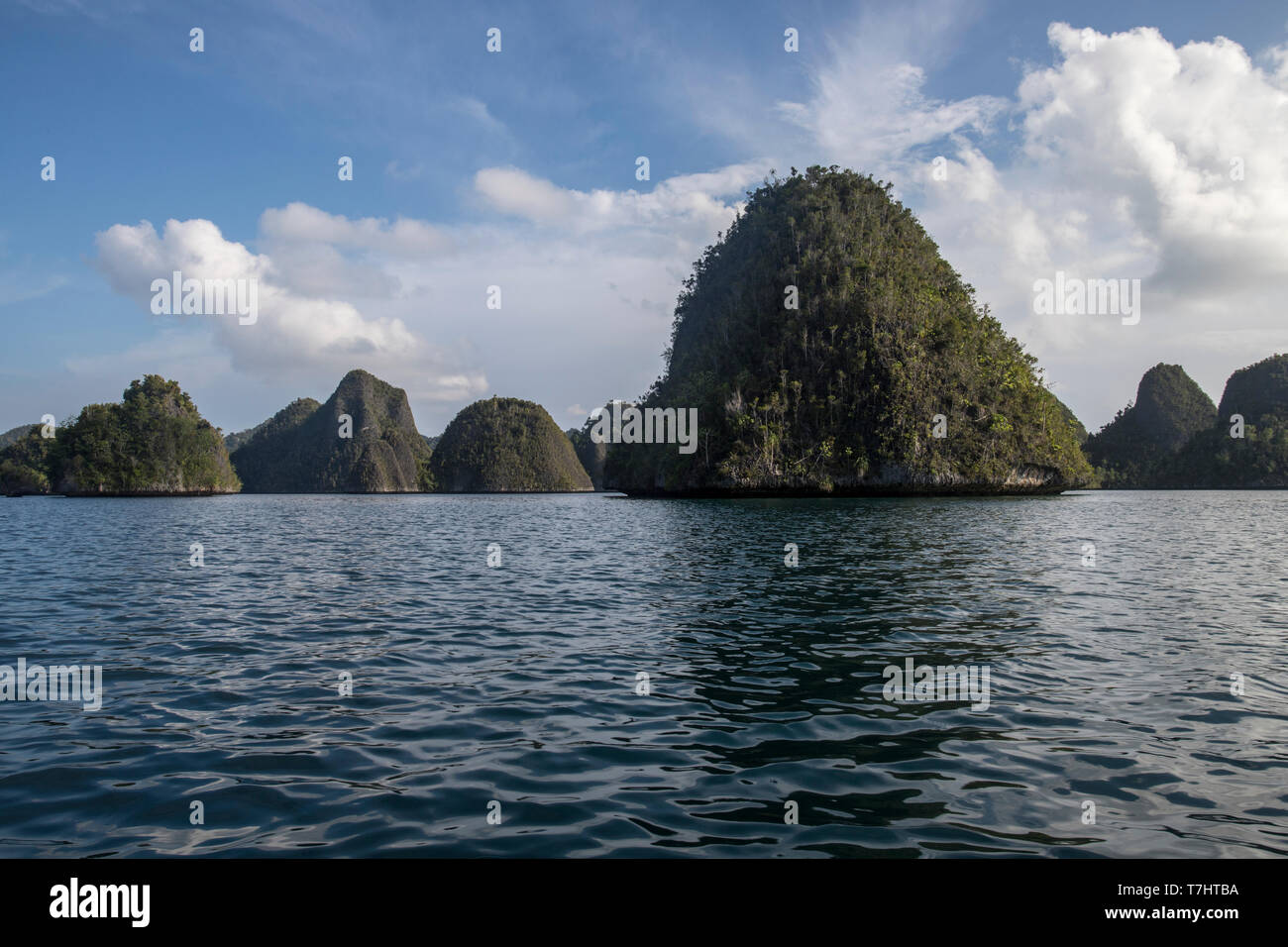 Karst limestone formations in Wayag Island, Raja Ampat, West Papua ...