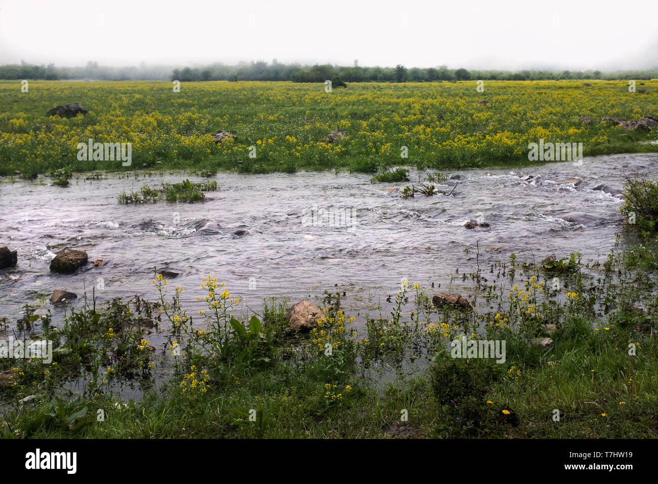 A landscape of a river in the foreground and forest land in the ...