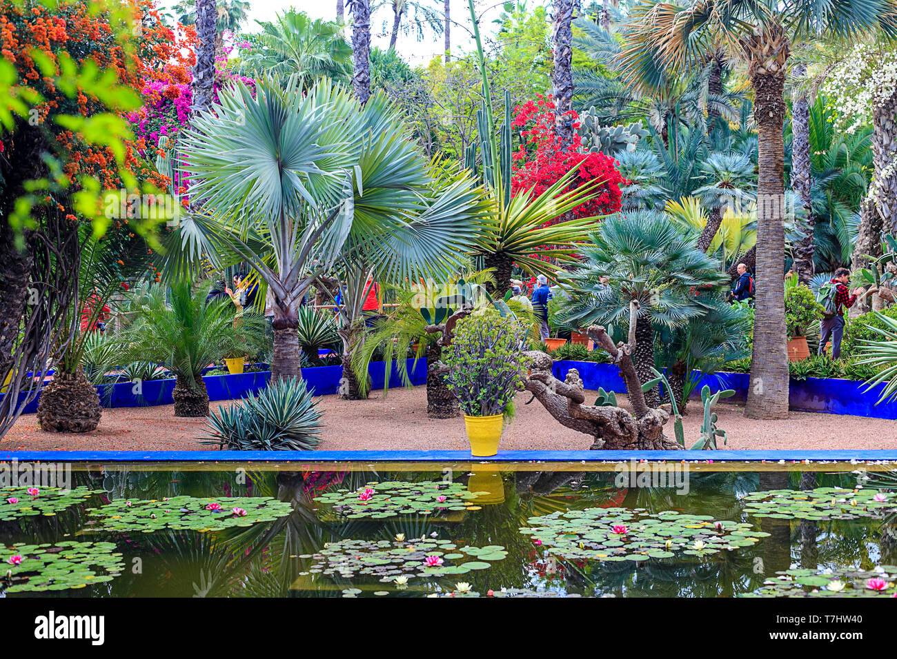The Majorelle Garden is a botanical garden and artist's landscape ...