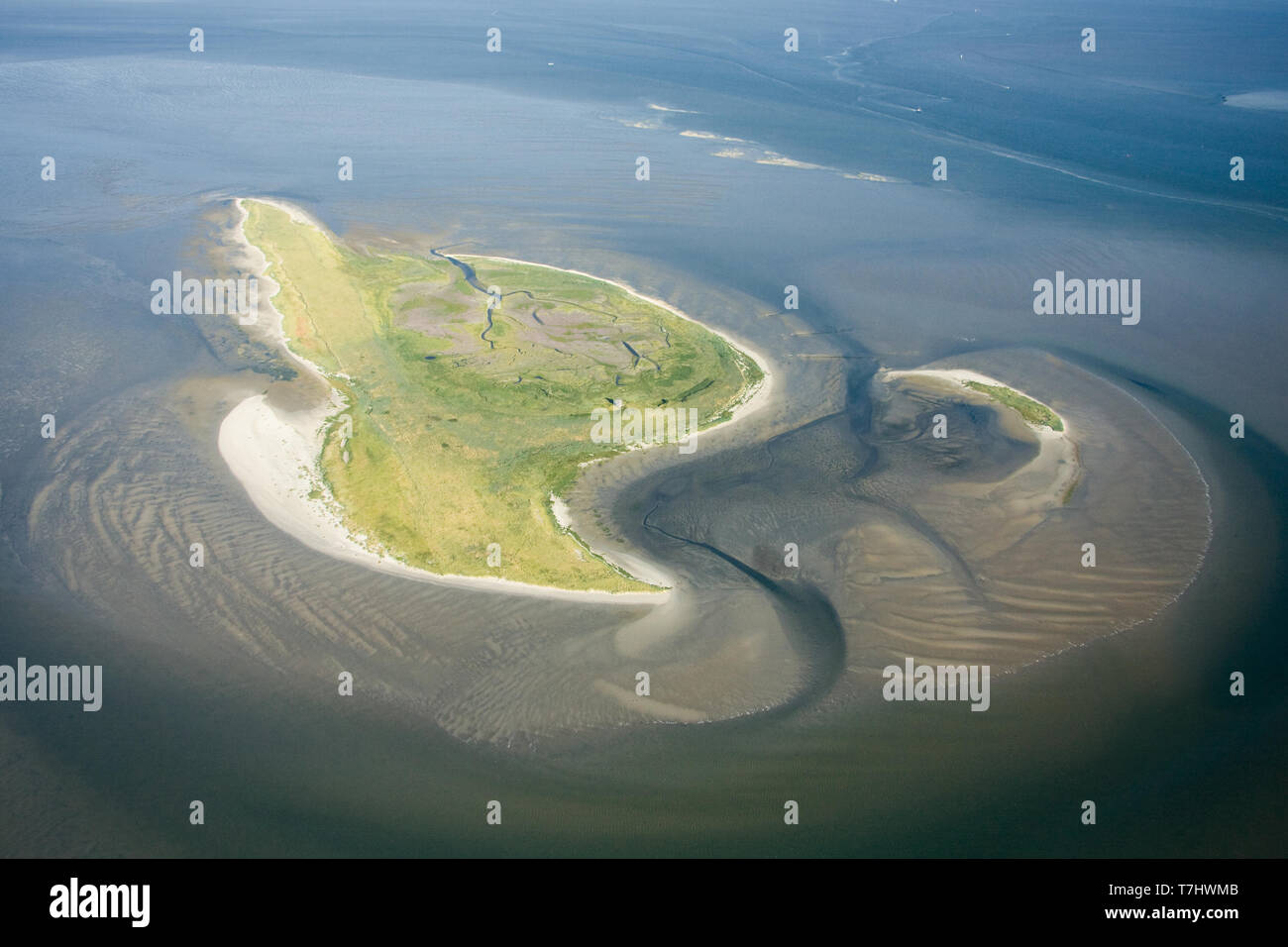Island of Griend, Wadden Sea, Netherlands Stock Photo - Alamy
