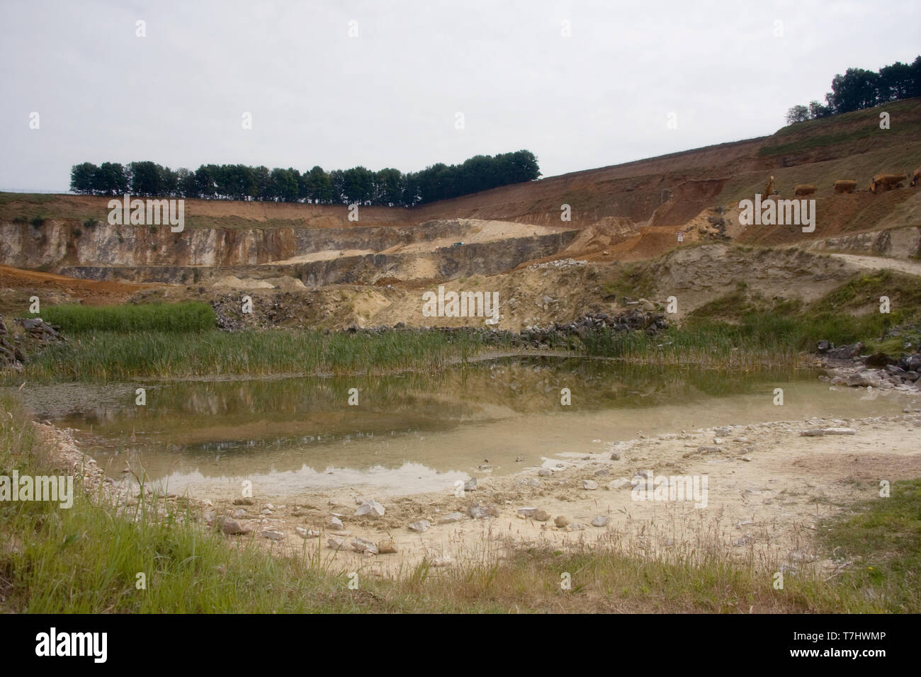 Groeve rooth hi-res stock photography and images - Alamy